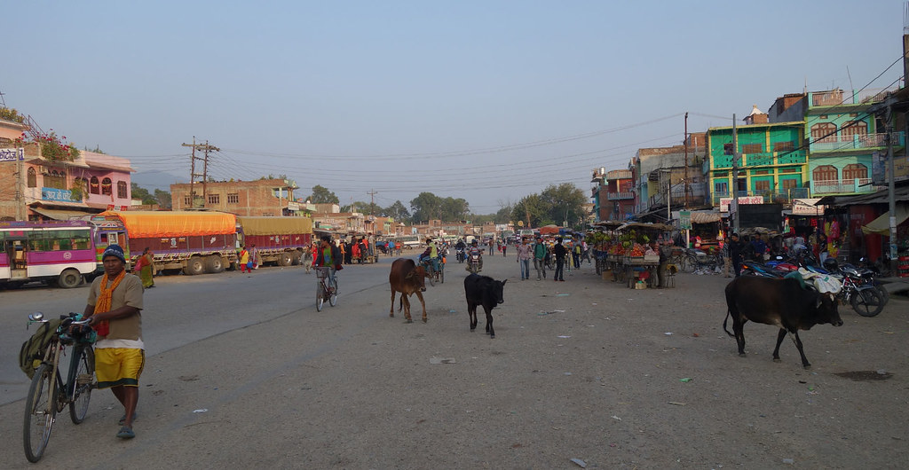 9th November to Lamahi - Humsari